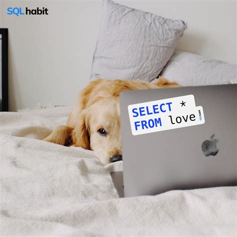 Sql Habit On Linkedin Sql Anniversary Course Dataanalytics Dataanalysis