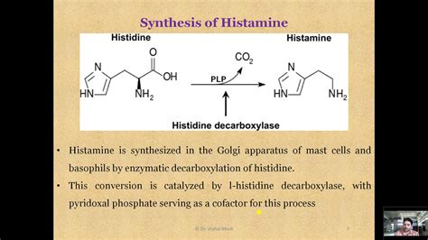 Histamine Chemistry Synthesis Metabolism And Histamine Receptors