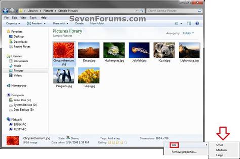 Details Pane Change Size Tutorials