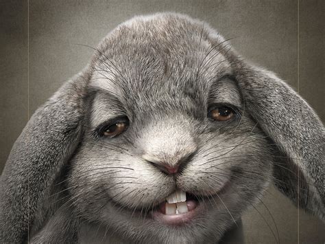 Nyc Botanics Bunny Clios