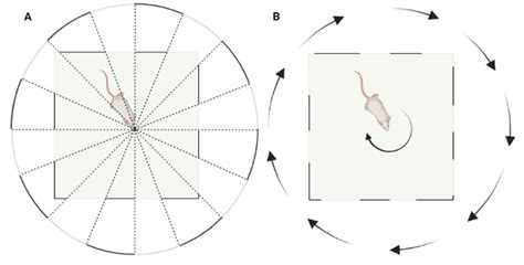 Schema Of The Optomotor Test A A Virtual Rotating Cylinder Consisting