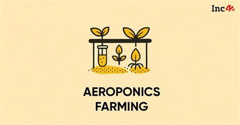 Aeroponics Farming Archives Inc42 Media