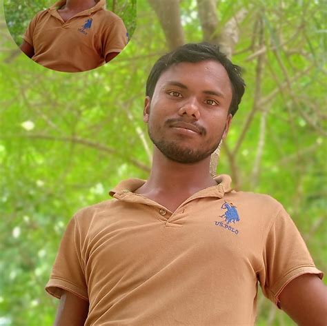 গাছের ডালে পাখির বাসা Thakurgaon