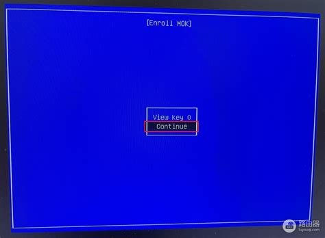 U盘启动时报错，提示 Verification Failed 0x1a Security Violation 的解决方法 路由器