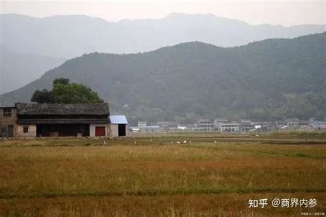 农民的好日子来了？有远见的人已布局农业，3个方向将造就新富人 知乎