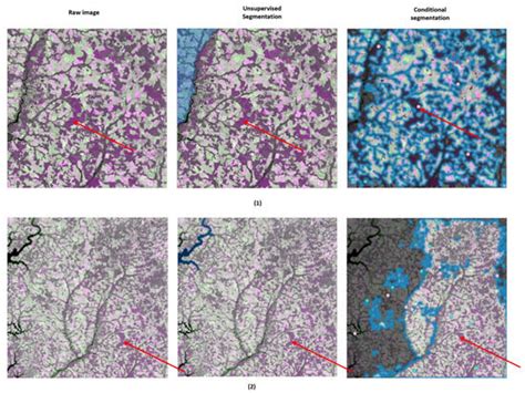 Remote Sensing Special Issue Aerial Remote Sensing System For