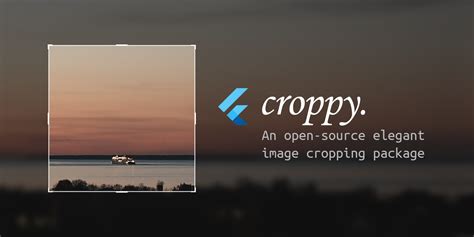 Github Keklandcroppy A Fully Customizable Image Cropper For Flutter In Flutter
