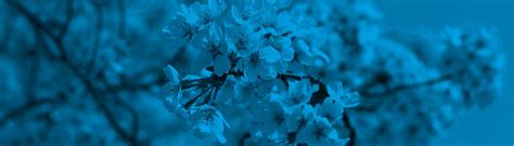 Yakult Europe New Designs For Temporary Packaging Sowiesohelder