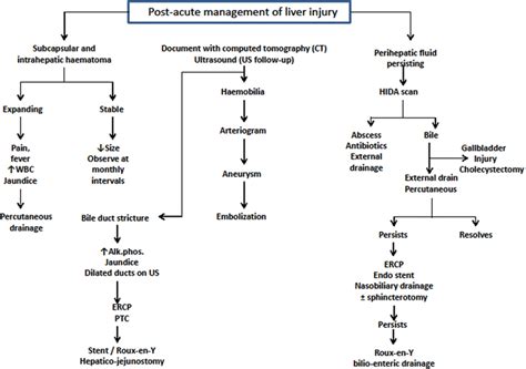 Management Algorithm For The Post Acute Management Of Liver Trauma Management Algorithm For The Post Acute Management Of Liver Trauma
