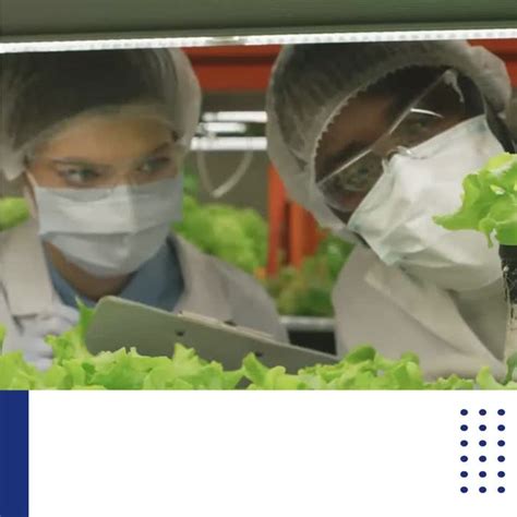 Mansour Esmaeil Zaei On Linkedin Infrabooster