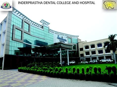 Classification Of Malocclusion Skeletal And Dental Pptx