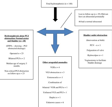 Causes Of Hydronephrosis