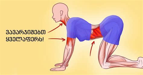 7 სავარჯიშო იაპონელი კაცუძო ნიშისგან რომლებიც ქალის ორგანიზმზე სასწაულად აისახება სასარგებლო