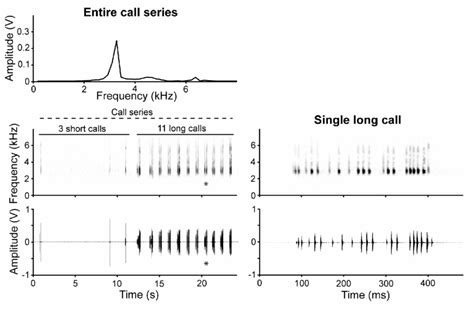 Left Side Shows A Power Spectrum Top Sonogram Middle And