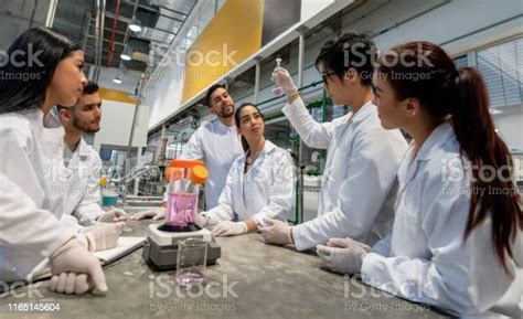 플라스크 실험에서 로퀴드를 바라보는 화학 수업 중 다양한 대학생 Stem 주제에 대한 스톡 사진 및 기타 이미지 Stem 주제 건강관리와 의술 과학 Istock