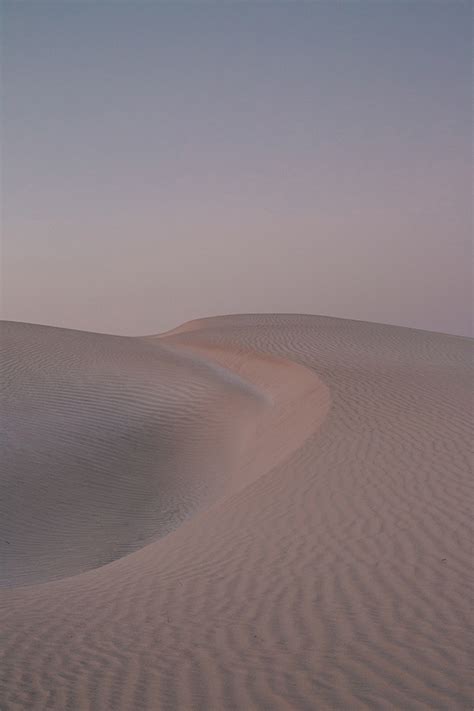 Tread Softly Behance