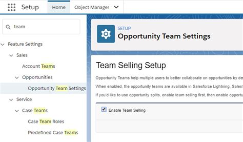 Salesforce Setup Forecast Quota
