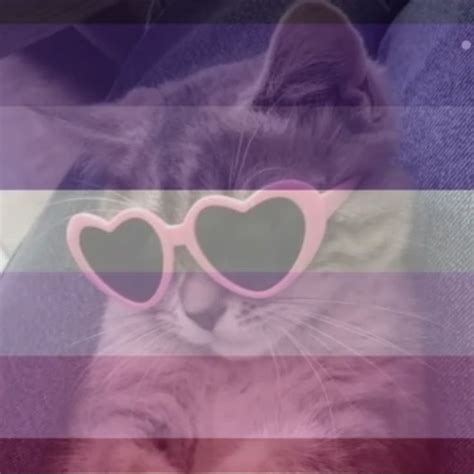 Moon Lesbian Pride Flag Profile Picture