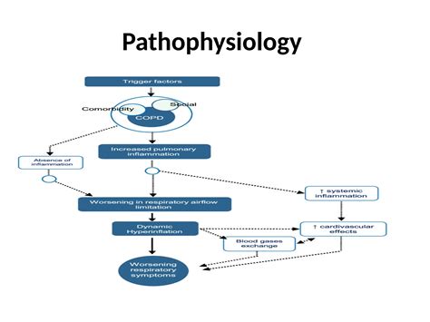 Chronic Obstructive Pulmonary Disease 🫁 Ppt
