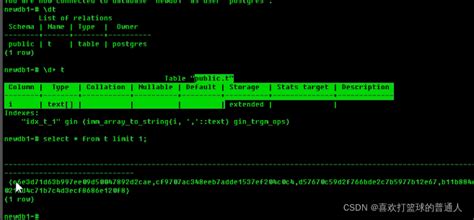 第三章：德哥之postgresql实例初始化、基本配置helm Postgresql 初始化 Csdn博客