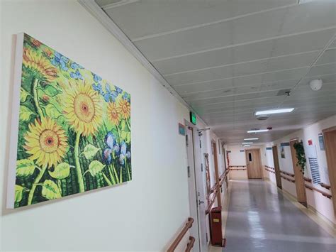 安宁疗护，知多少？ 知乎