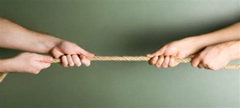 Section 198 S198 Tax Election Template Curtis Plumstone Associates