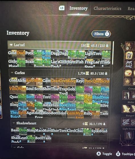 Bugs Or Maybe Something Else Rbaldursgate3