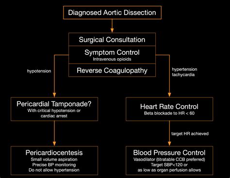 Aortic Dissection And Raaa Management Aortic Dissecti