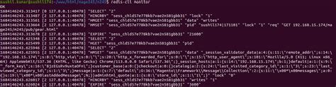 How To Use Redis For Magento Session Management