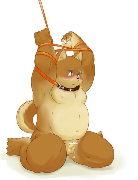 Rule 34 Akita Inu Balls Blush Bondage Canine Chubby Cute Fat Furry