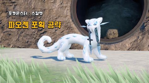 [포켓몬스칼렛] 파오젠 포획 공략 Youtube