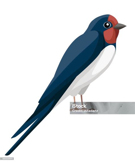 새를 삼 킬 플랫 만화 캐릭터 디자인입니다 다채로운 새 아이콘입니다 귀여운 제비 앉아입니다 벡터 일러스트 레이 션 흰색 배경에