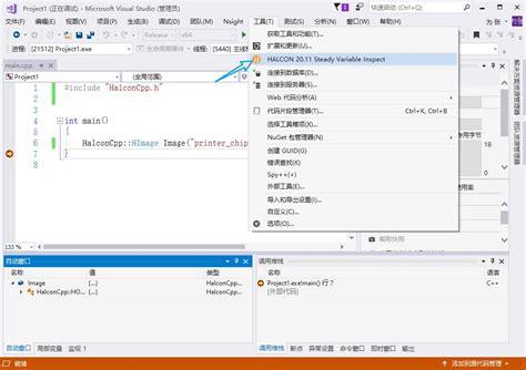 Visual Studio Halcon Variable Inspect Halcon