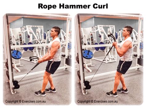 Cable Rope Curl