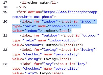 Confused About Check Radio Buttons And Checkboxes By Default Html Css The Freecodecamp Forum