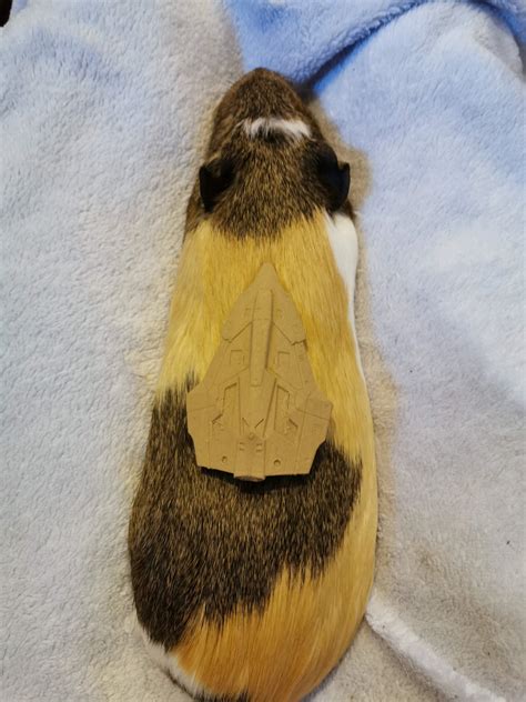 Python And Anaconda R EliteDangerous