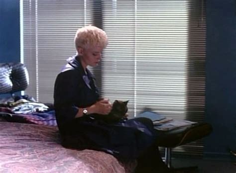 Tomcat Dangerous Desires 1993 Cinema Cats