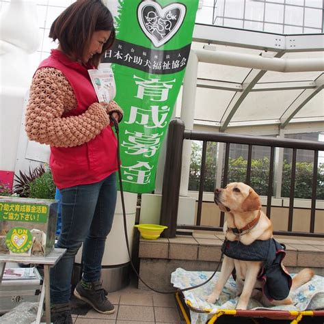 Labs In Japan Arcane Science Lab