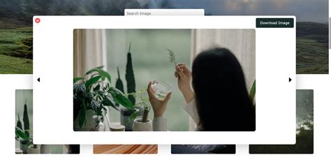 Github Sonideepanshi Image Search A Simple Free Image Search Web App Using Html Css