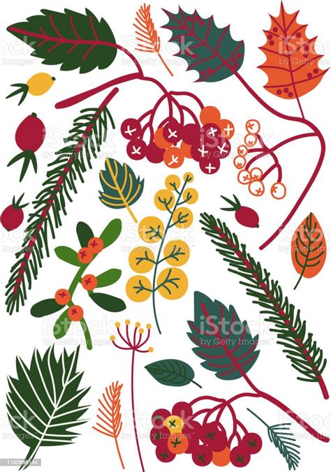 다채로운 잎과 열매 가을 꽃 완벽 한 패턴 계절 장식 벡터 일러스트 레이 션 0명에 대한 스톡 벡터 아트 및 기타 이미지 0명 가을 꽃 식물 Istock