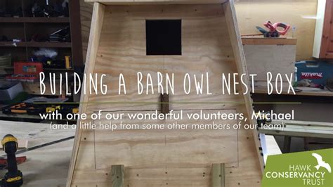 Building A Barn Owl Nest Box Youtube