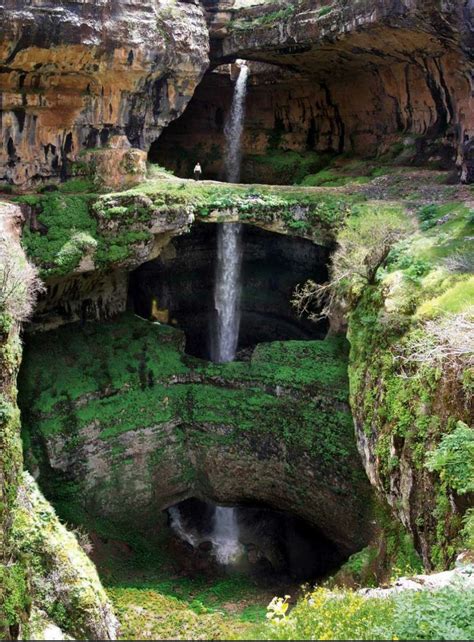Look At This Dense Biozone Biome In Lebanon R Deeprockgalactic