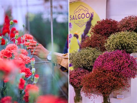 Murara Plants Kenya Addresses Your Summer Cut Flower Needs