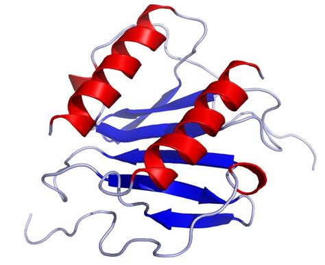 O Que São Quimiocinas