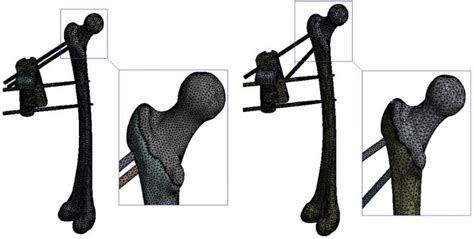 Mesh Structure Of The Model Download Scientific Diagram