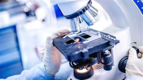 Analyzing Rna Expression With Microarray Reagents Best Practices And