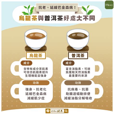 抗老延緩巴金森病烏龍茶與普洱茶好處大不同 Heho健康
