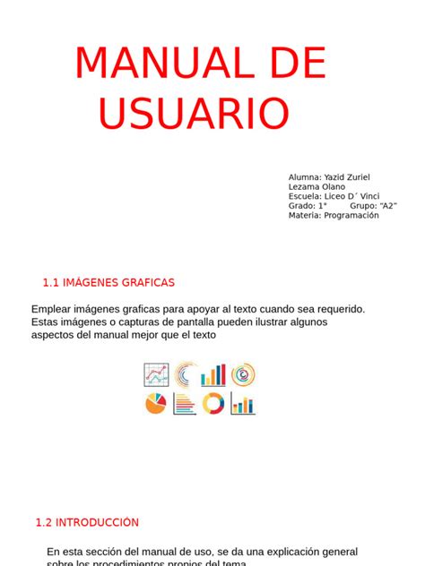Como Hacer Un Manual De Usuario Pdf