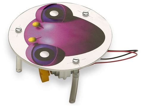 Bug Kit Jitter Bug Mindsets Online