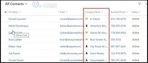 Retrieving Data And Displaying Icons On Dynamics View Columns Microsoft Dynamics CRM